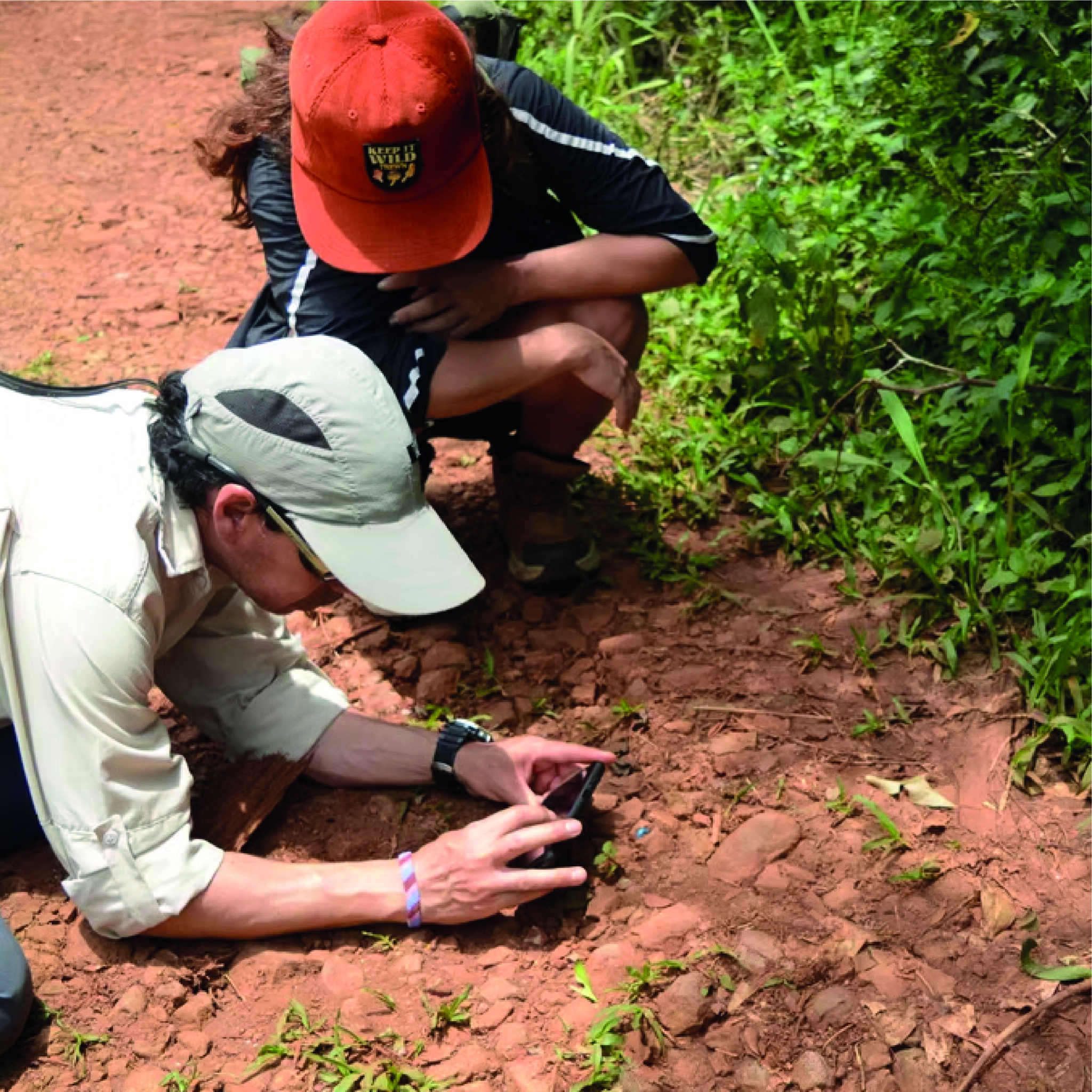 Club de Roma - altoplaneta.com